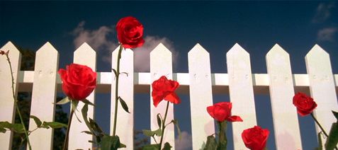 Blue Velvet | The Definitives | Deep Focus Review