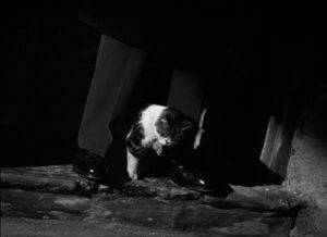 The Third Man (1949) | The Definitives | Deep Focus Review