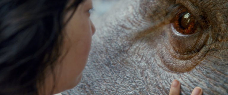 Okja (2017) | Movie Review | Deep Focus Review