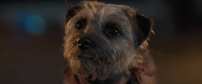 Strays (2023) | Movie Review | Deep Focus Review