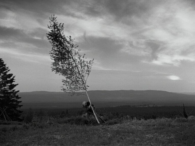 The Virgin Spring (1960) | The Definitives | Deep Focus Review