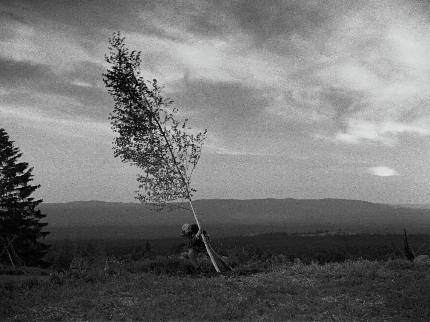 The Virgin Spring (1960) | The Definitives | Deep Focus Review